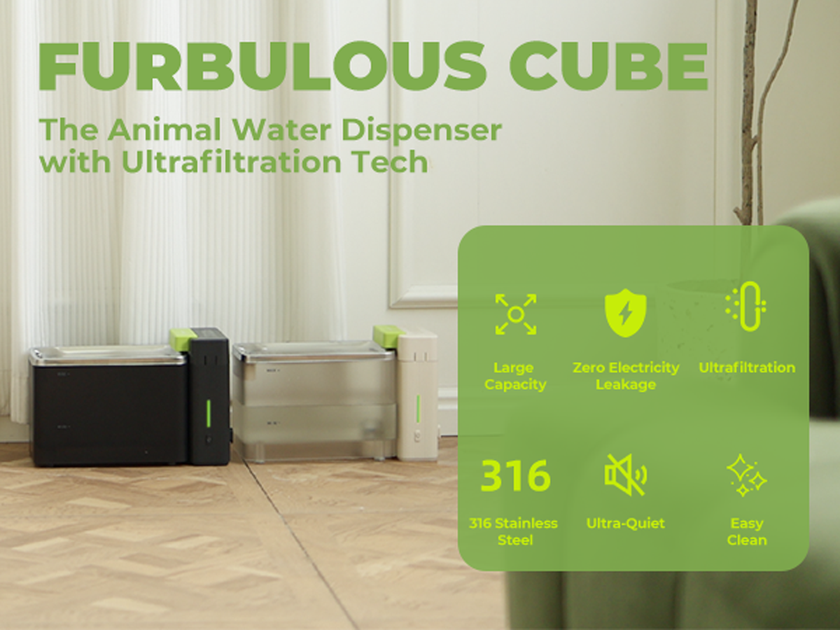 Furbulous - Online Pet Supply Store | Shop Now