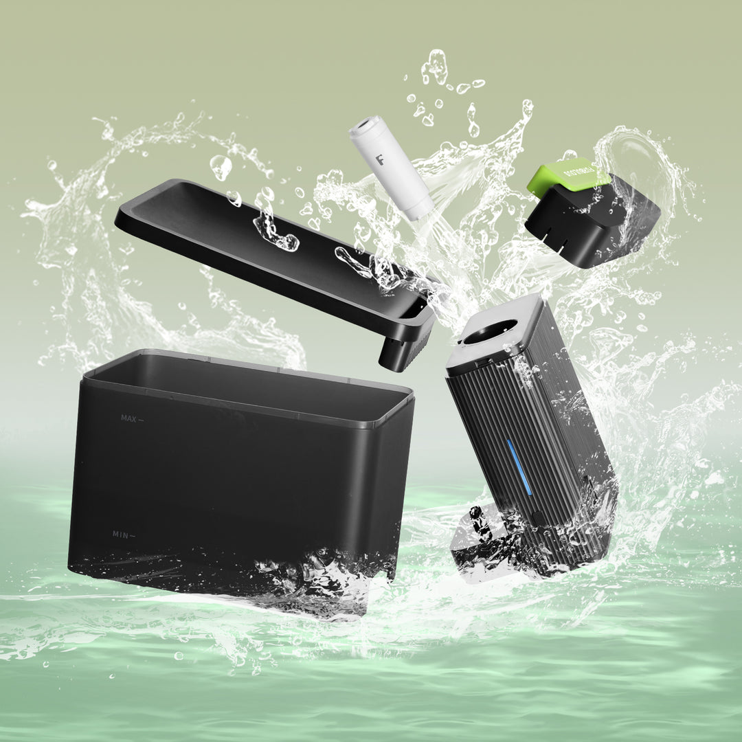 Furbulous "Box+Cube"